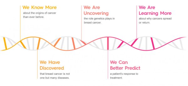 Why Research | Breast Cancer Research Foundation