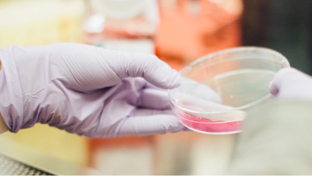 AI Breast Cancer Detection and Diagnosis| Breast Cancer Research Foundation