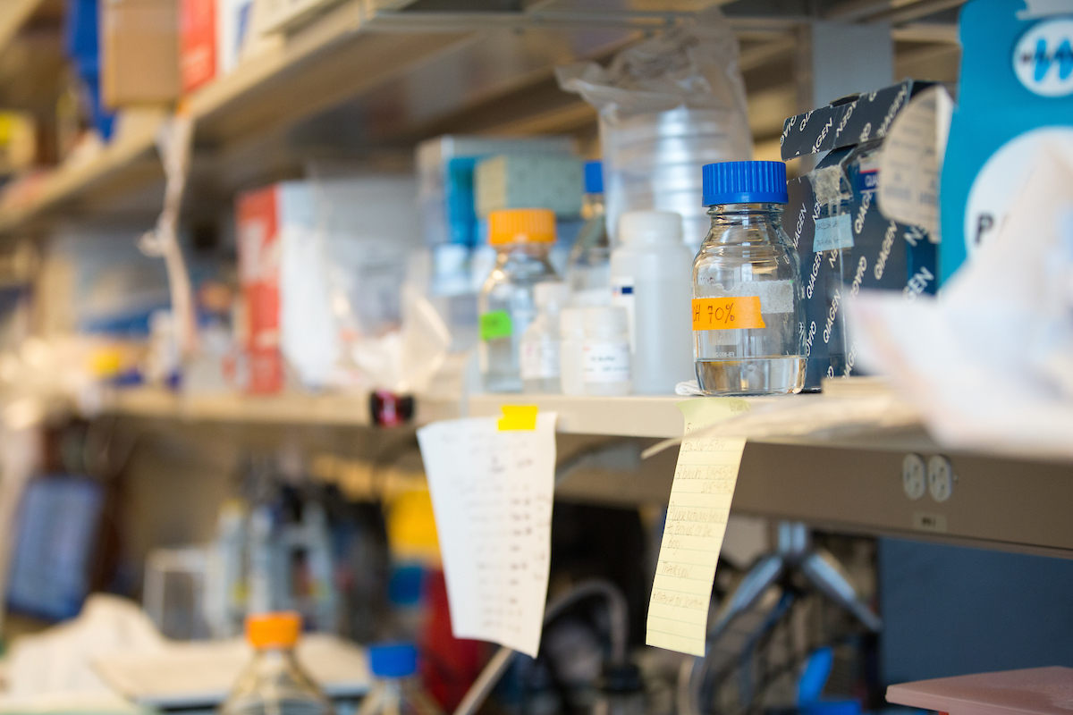 BCRF’s New TRIBUTE Study Uses Data-Driven Approach to Immunotherapy ...