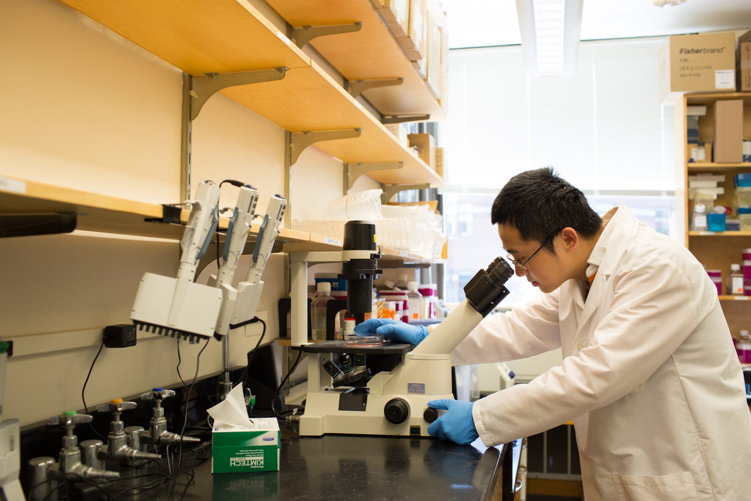 New Gene Test Allows Many Early-State Breast Cancer Patients to Forgo ...