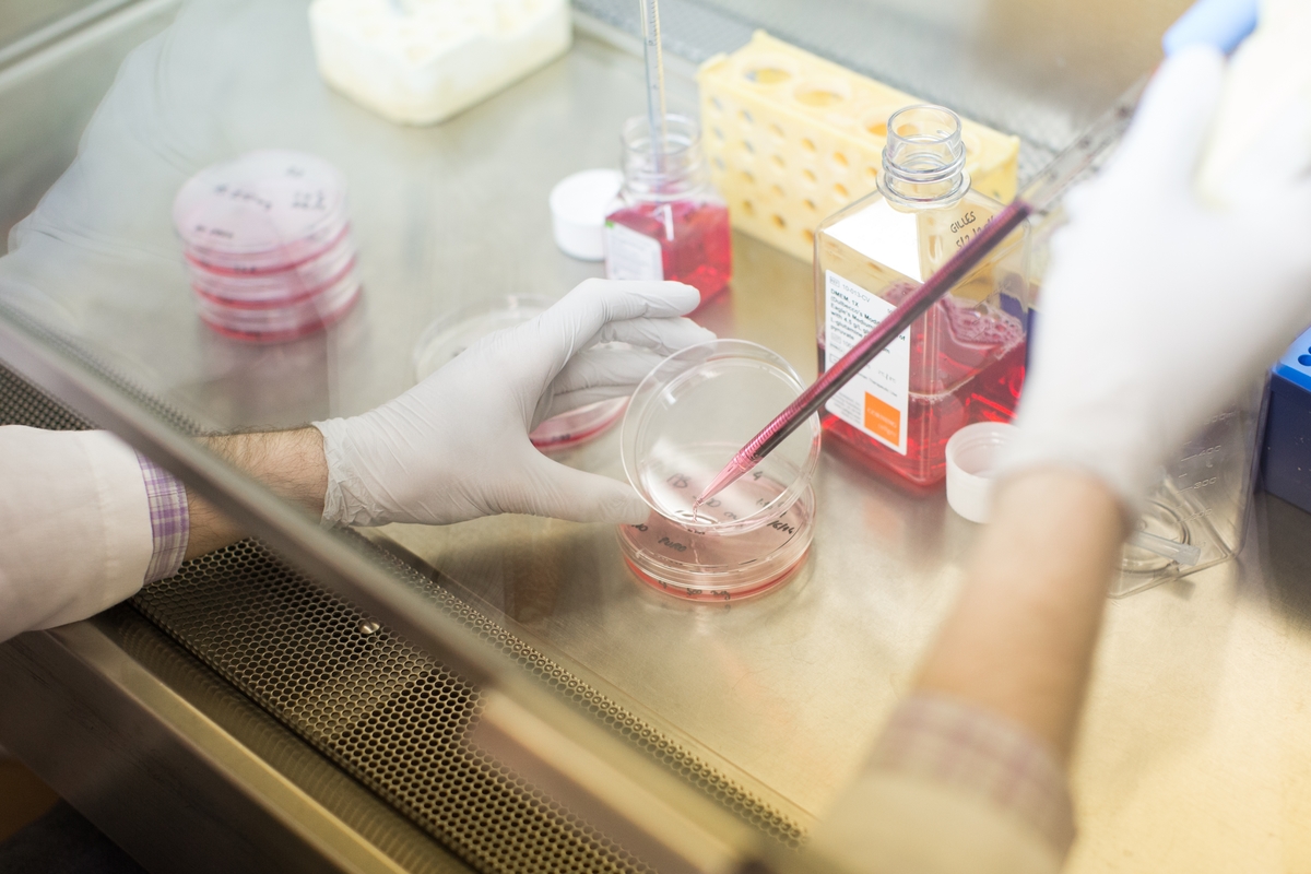 BCRF Investigators Develop Test to Guide Treatment Decisions Before and ...