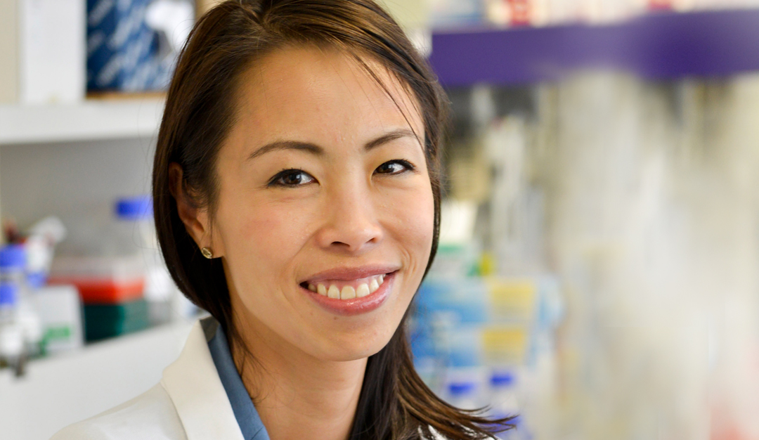 Meet the Researcher: Sherene Loi, MD, PhD | Breast Cancer Research ...