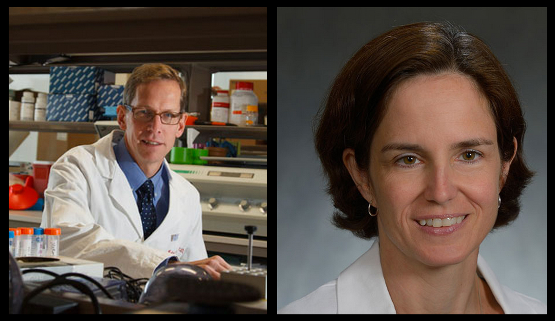 Immunotherapy as a Breast Cancer Vaccine | Breast Cancer Research ...