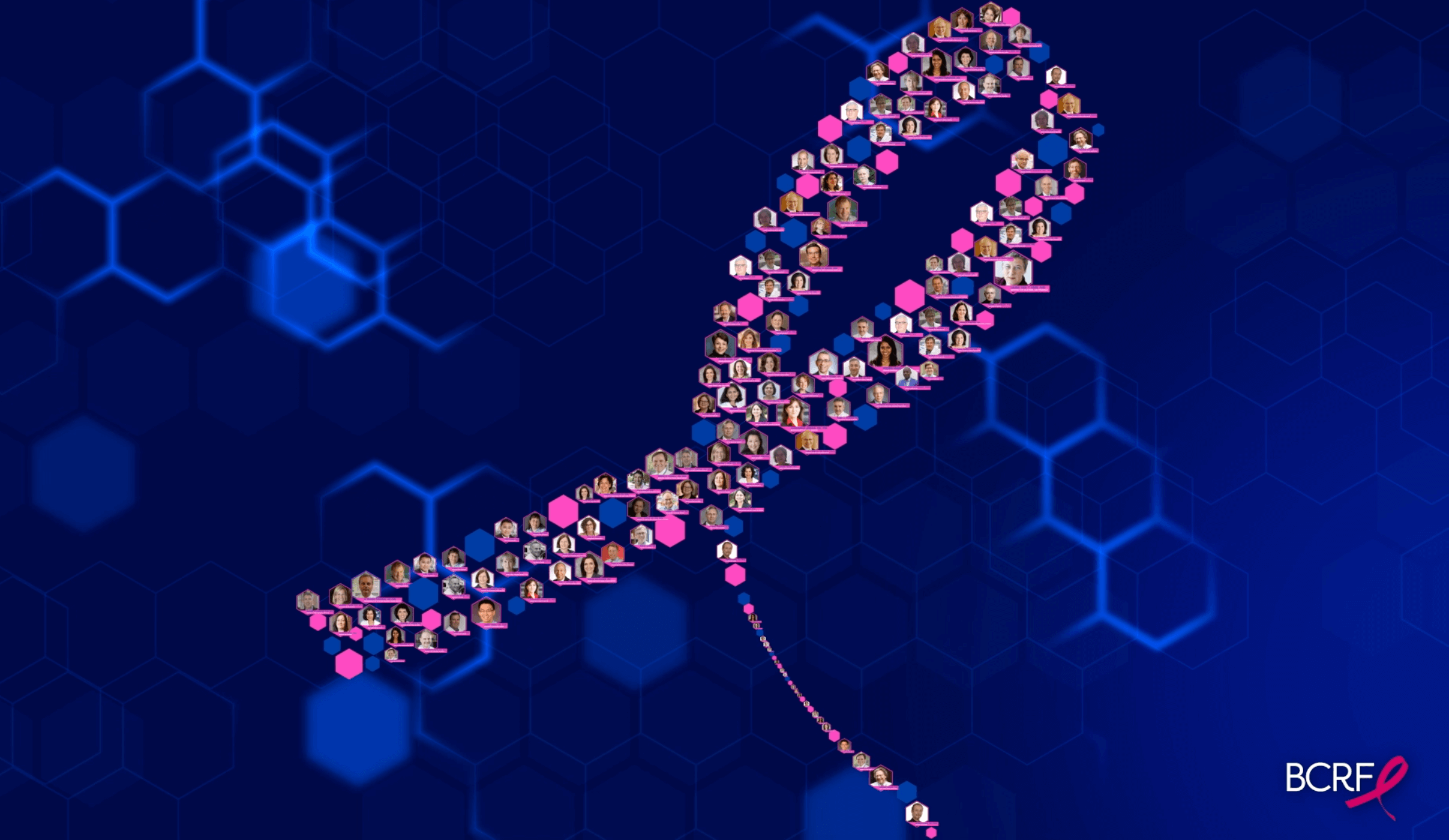 BCRF Investigators Discuss Breast Cancer Developments at Annual ...