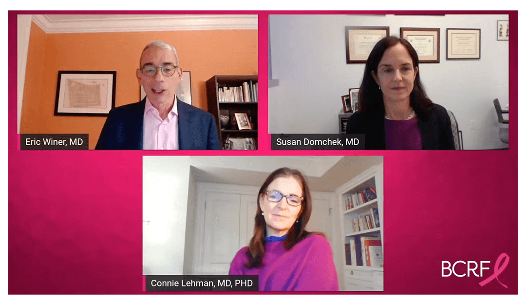 Watch BCRF’s Annual Westchester Hot Pink Symposium | Breast Cancer ...